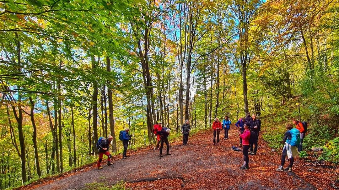 Escursionismo. Corso Accompagnatore Media Montagna – Andrea Tomasella